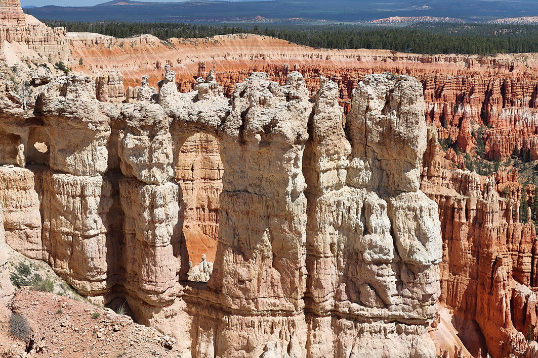 blog_almaca_0050_0613 – hovisontour.com