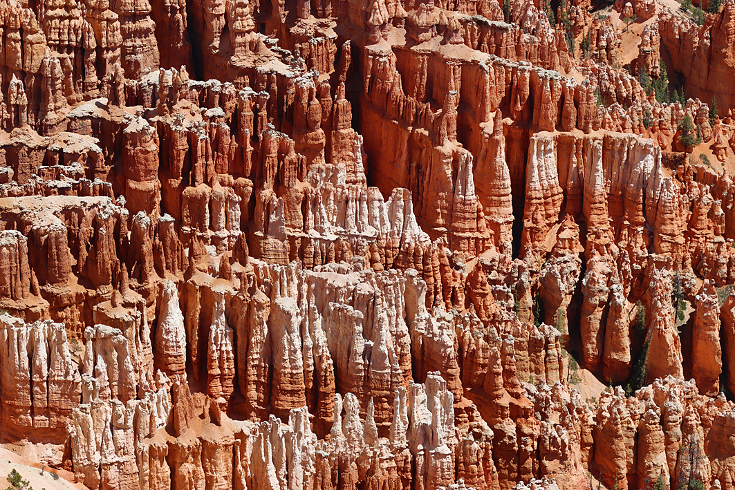 blog_almaca_0050_0620 – hovisontour.com