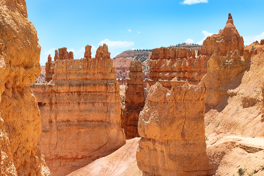 blog_almaca_0051_0629 – hovisontour.com