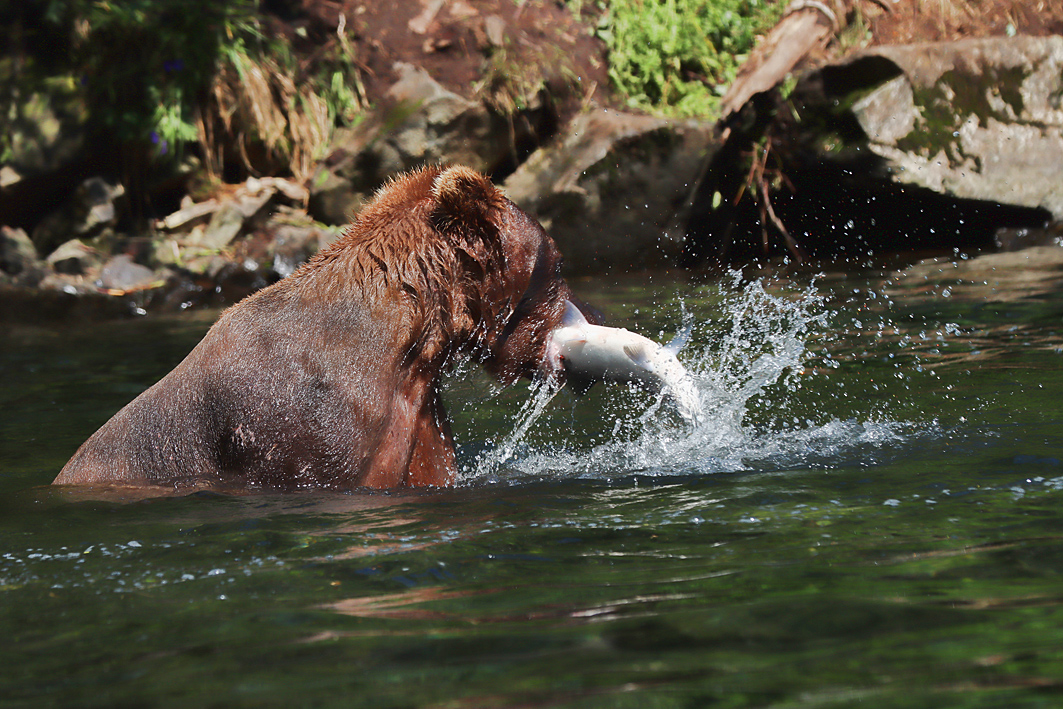 blog_151_almaca_2920 – hovisontour.com